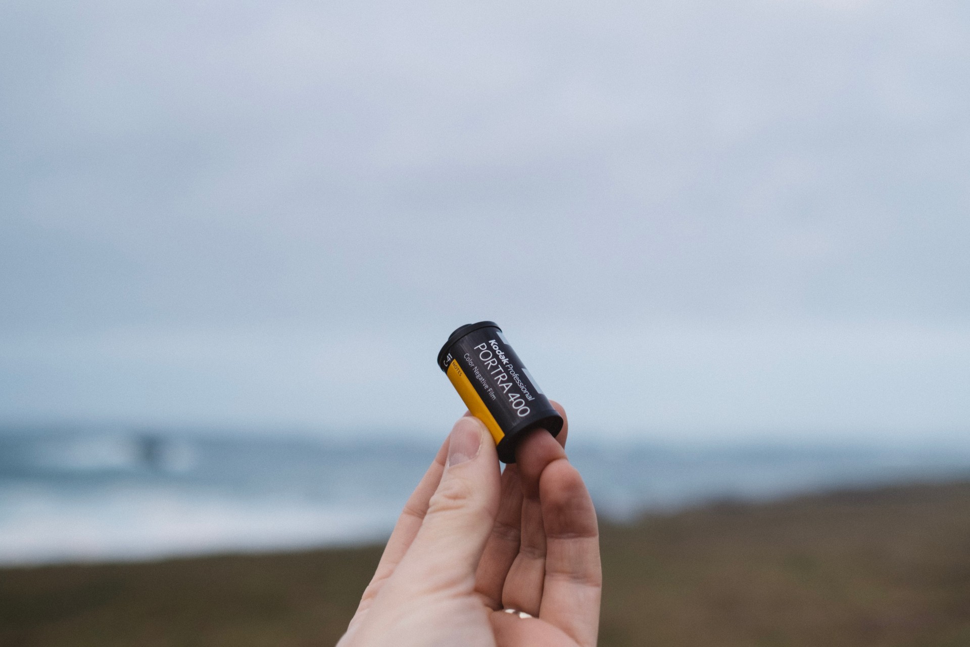 De la péloche dans le frigo ! — Grégory Mignard